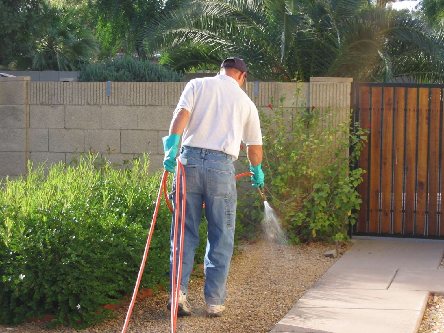 AZ Critter Getter – Pest Control Mesa, Gilbert, Chandler, Phoenix